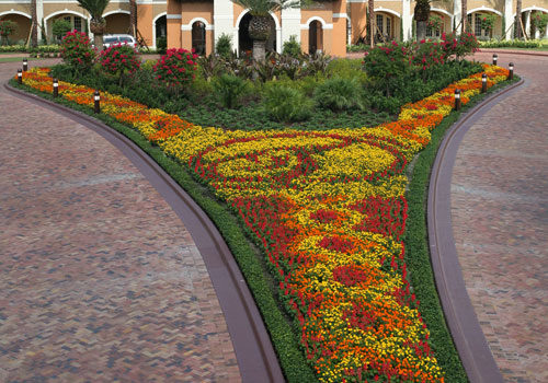 Plant Installation Program | Bloom-Masters